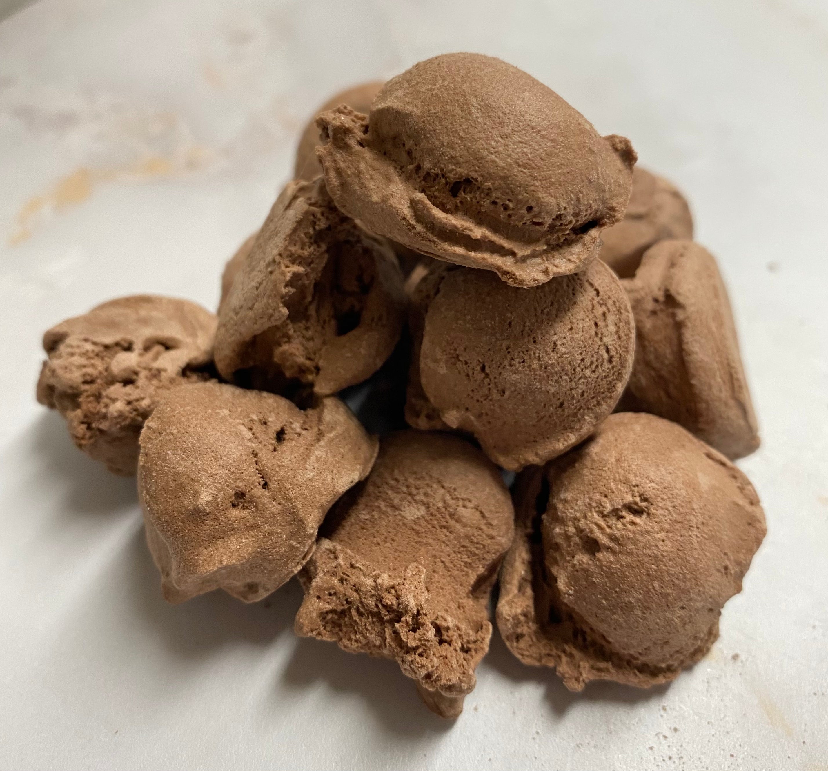 Freeze Dried Chocolate Ice Cream – Frost Bites